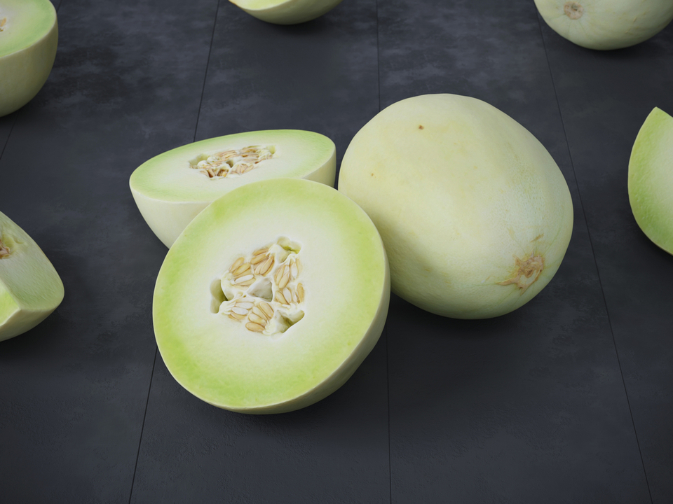 Honeydew Melons 12 Models