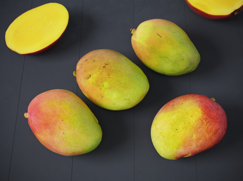Mango 6 Models