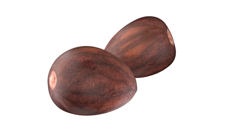Avocado Seed