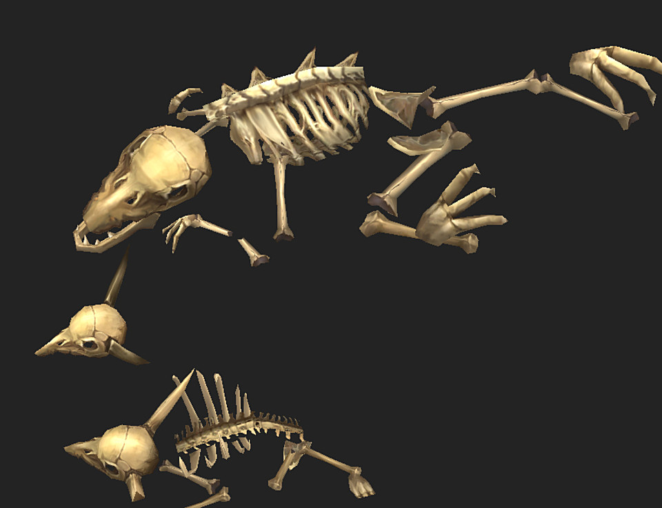 Game Model Arena - bone remains of animals 01