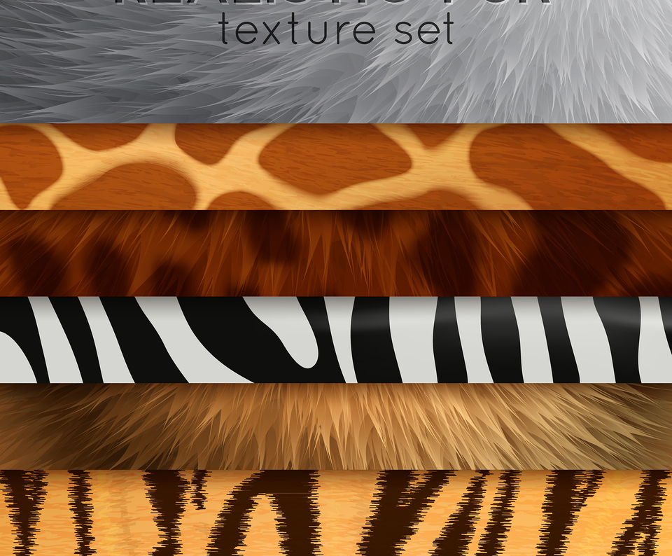 6 Realistic Animal Fur Textures, Tiger, Zebra, Leopard, Giraffe ...