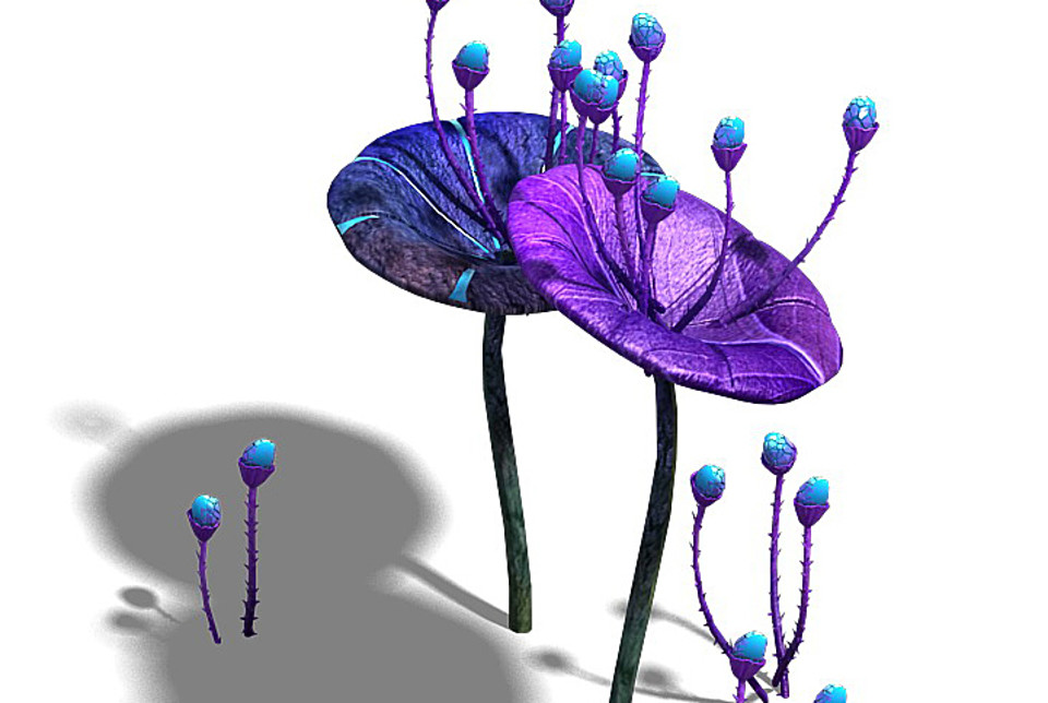 Wizard Forest - Supernatural Flowers 05