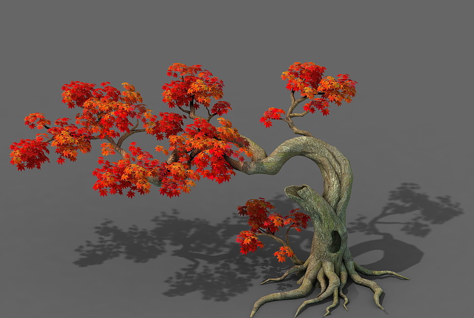 Forest - Maple Tree 11
