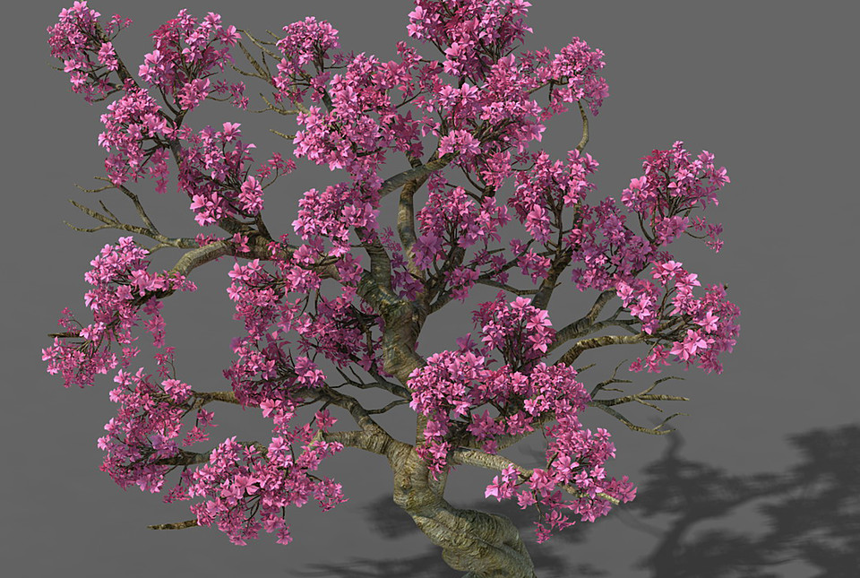 Forest - Peach Tree 05