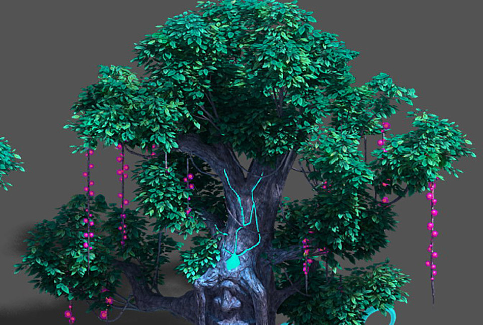 Plant growth process - days of mulberry tree