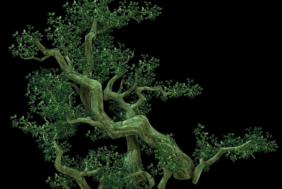 Game Model - Forest - Tree 02