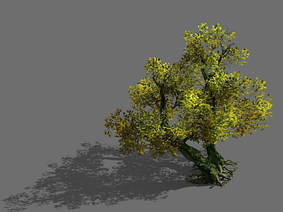 Game Model - Forest - Tree 20