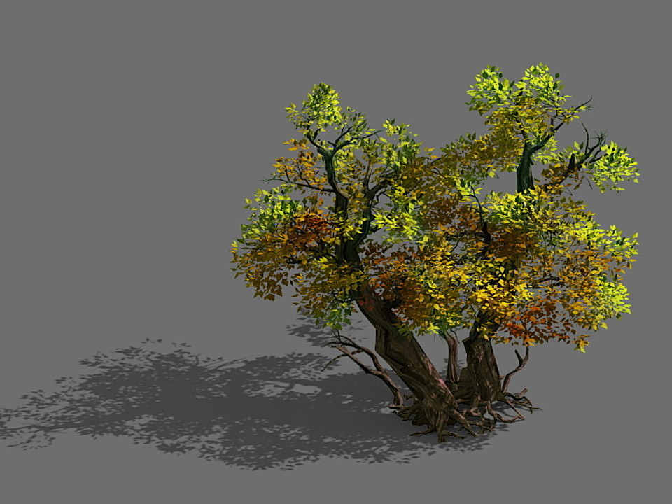 Game Model - Forest - Tree 21