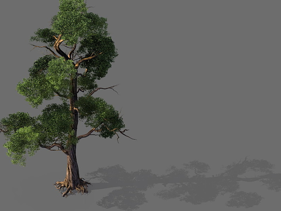 Game Model - Forest - Tree 11