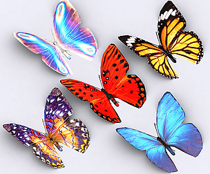 Boxy Butterfly Maya Rig