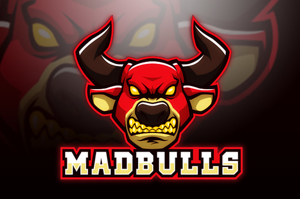 Mad Bulls Logo