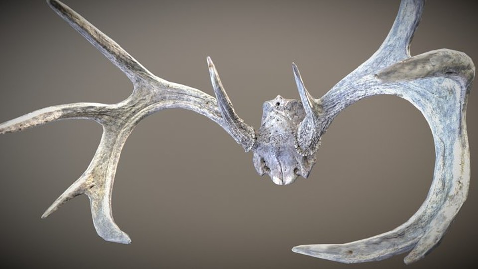 Cubebrush - Curated digital assets & resources