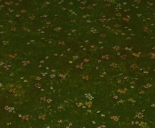 10 Tileable 2K Grass Texture