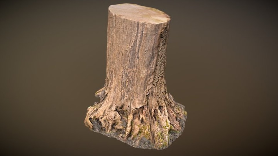 Stump