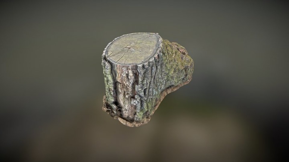 Stump