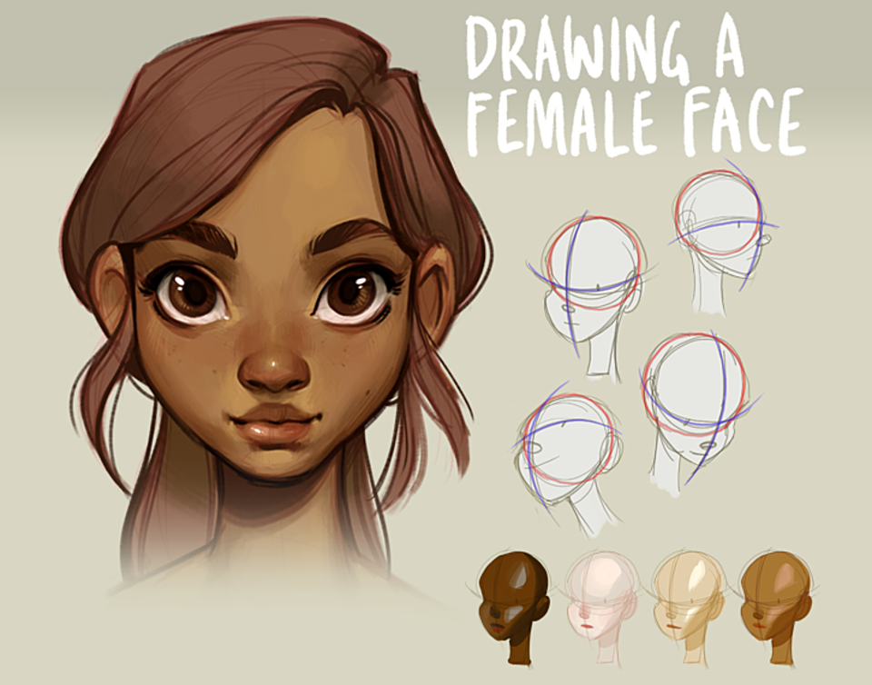 Favorite Tips About How To Draw A Female Face Grantresistance Favorite Tips About How To Draw A Female Face Grantresistance