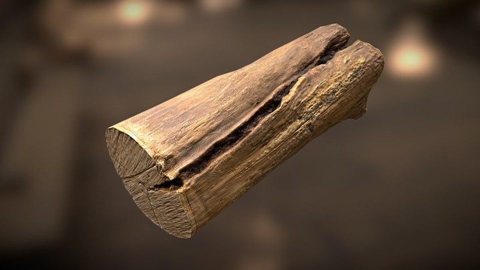 Log