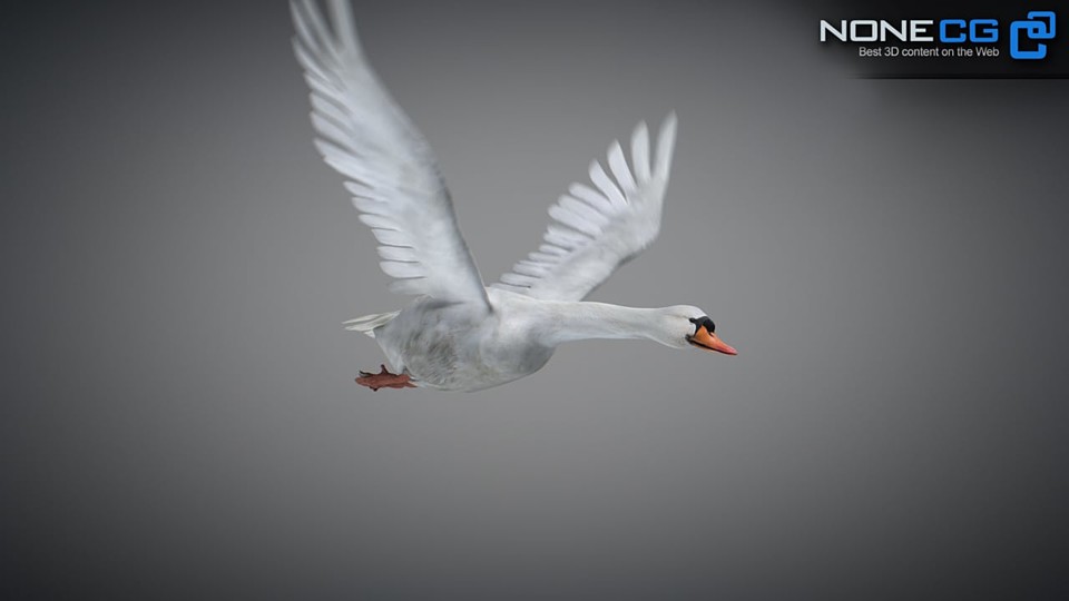 Animated Swan