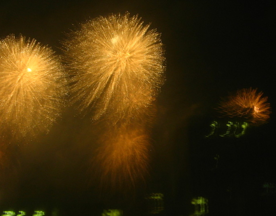 Free 316+ Images Fireworks Stock