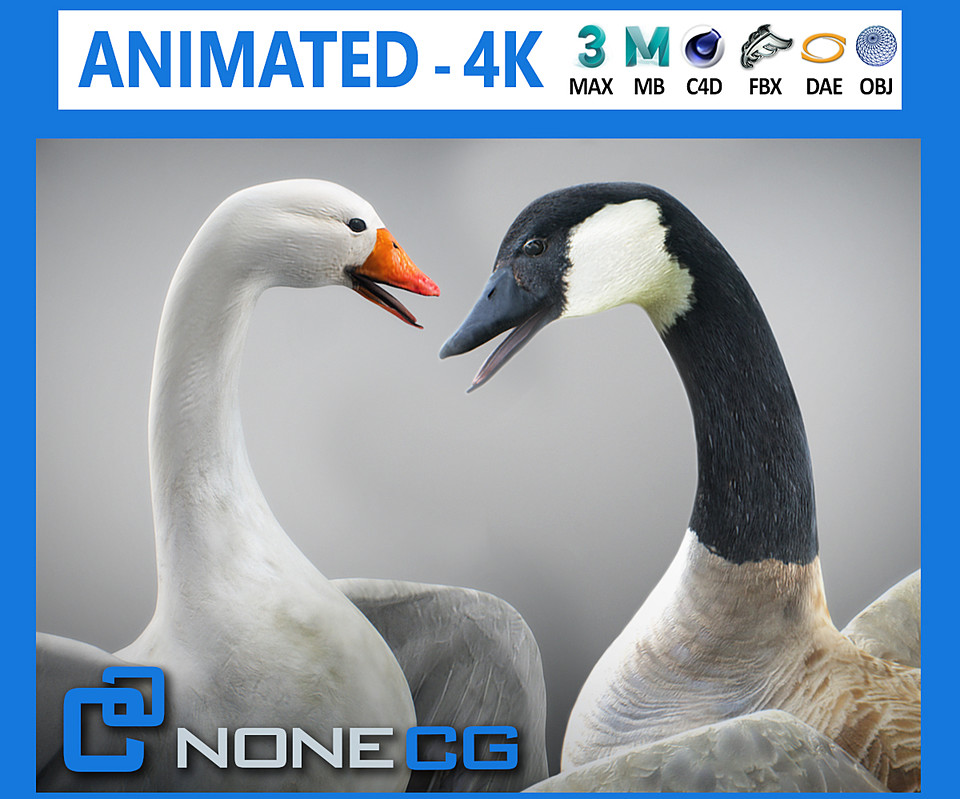 Animated Geese