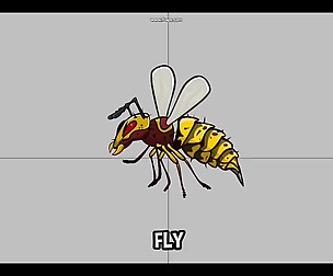 2D ANIMATED INSECTS