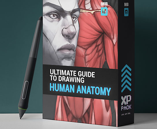 Marc Brunet's Collections