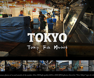 360° Perspective Grid