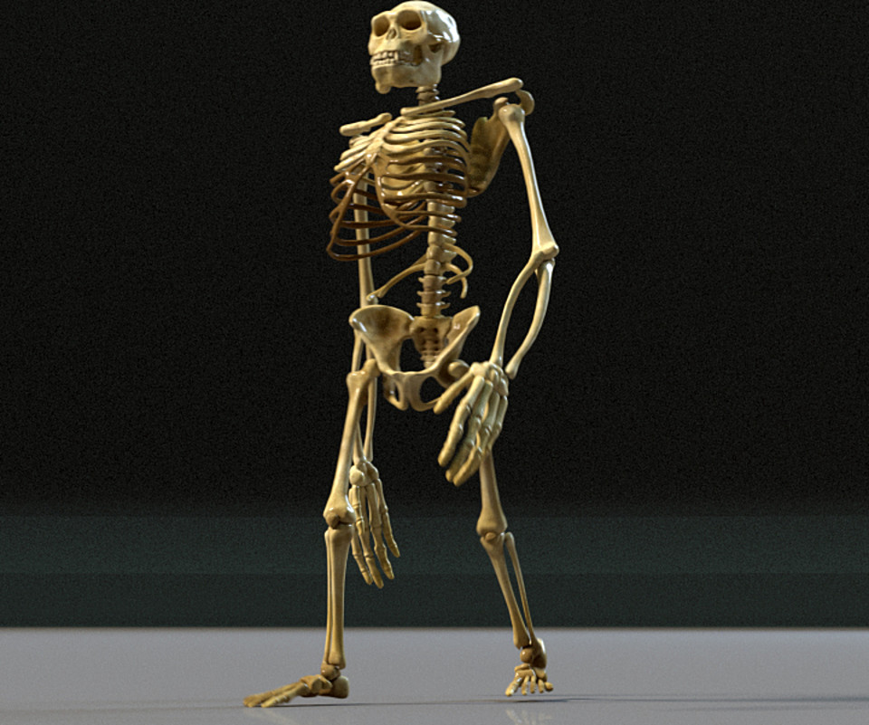 Kong Skeleton Maya Rig