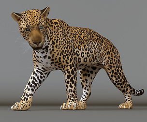 Script - ModIt 3.0 : Modeling Toolkit for Maya