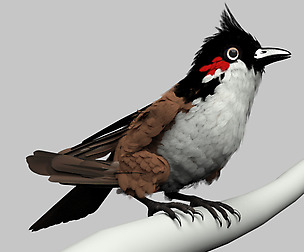 Pájaro Bird rig GRATIS FREE (Blender 2.83+/2.93+)