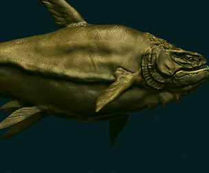 Truong Cg Artist's Collections