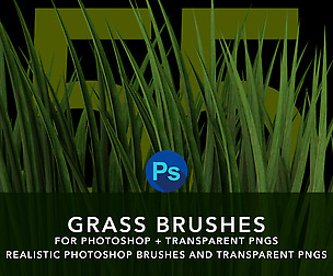 Perspective Tools v2