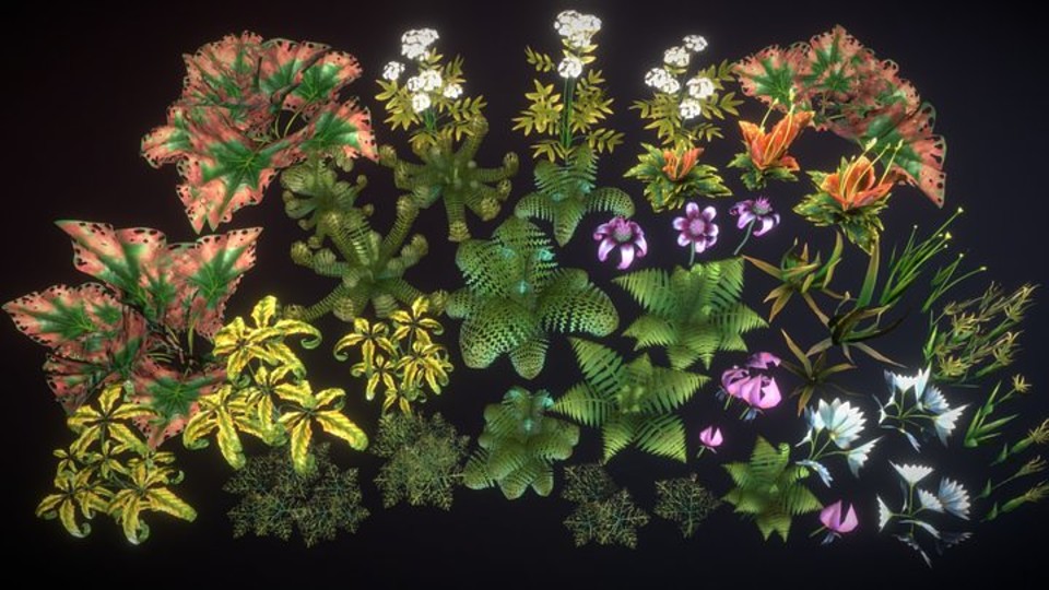 Small plants