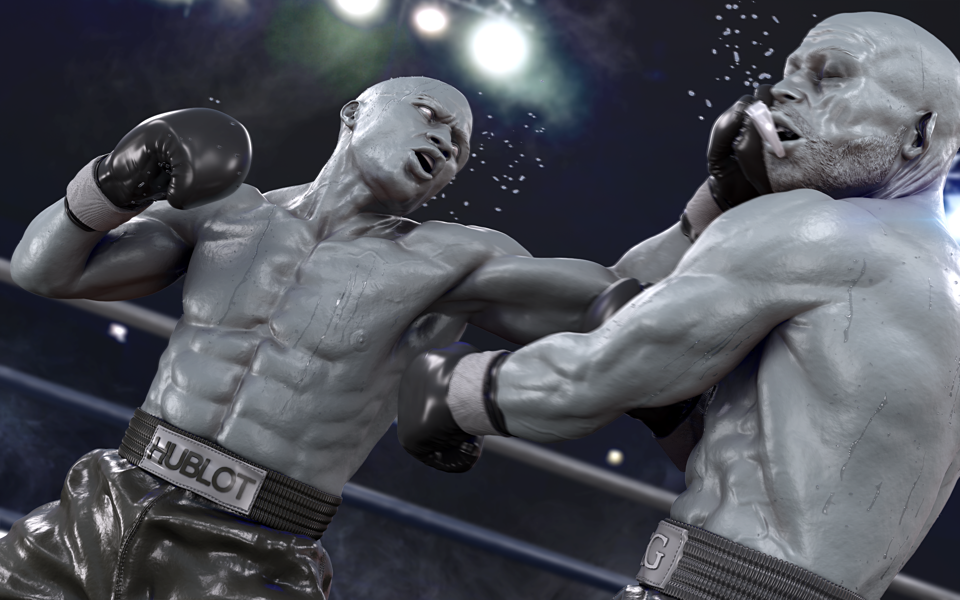 3D Boxing Model