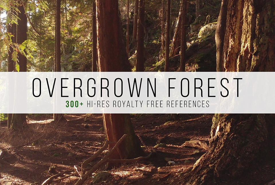 Overgrown Forest Reference Pack