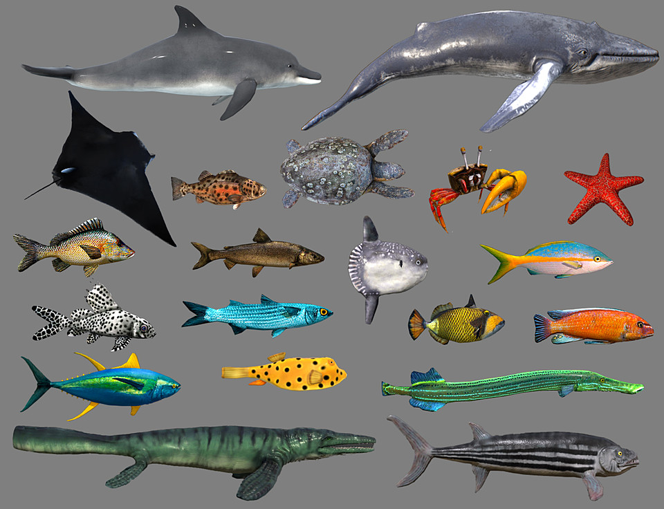Low poly Fish Collection Animated Pack 4