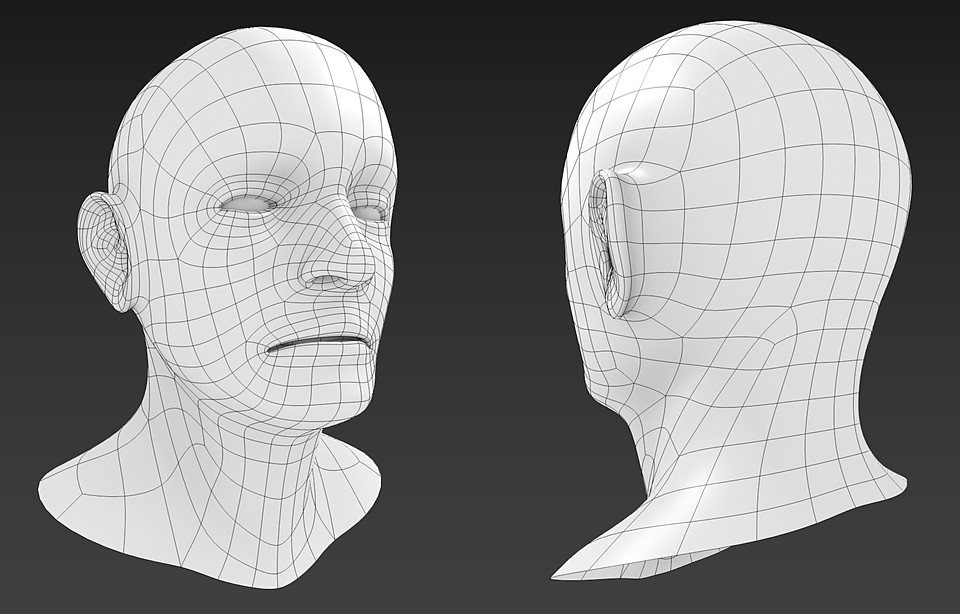 Male Head Generic Base Mesh
