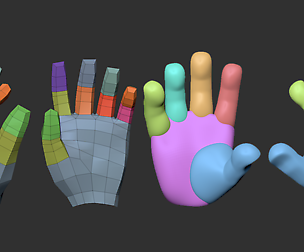 Hand Topology Model
