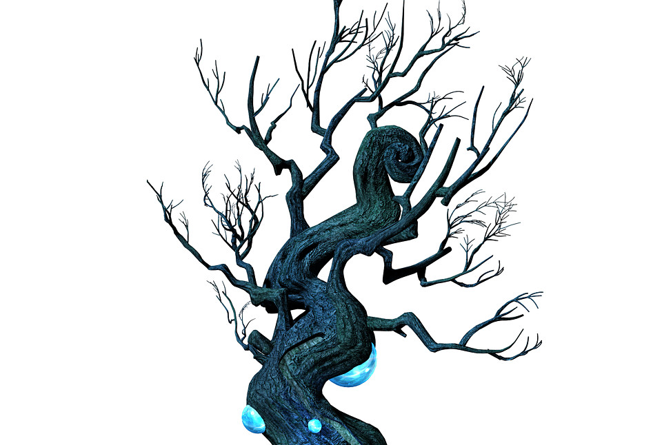 Crystal Swamp - weird tree 03