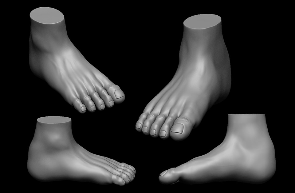 Free Foot highpoly 3D model