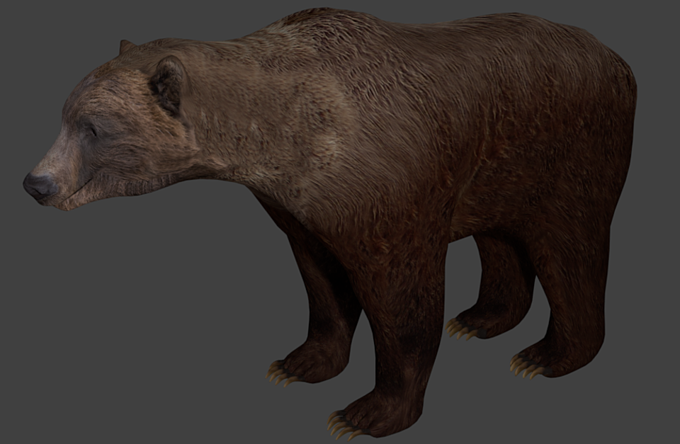 Bears pack