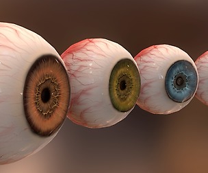 liver lobule histology animated