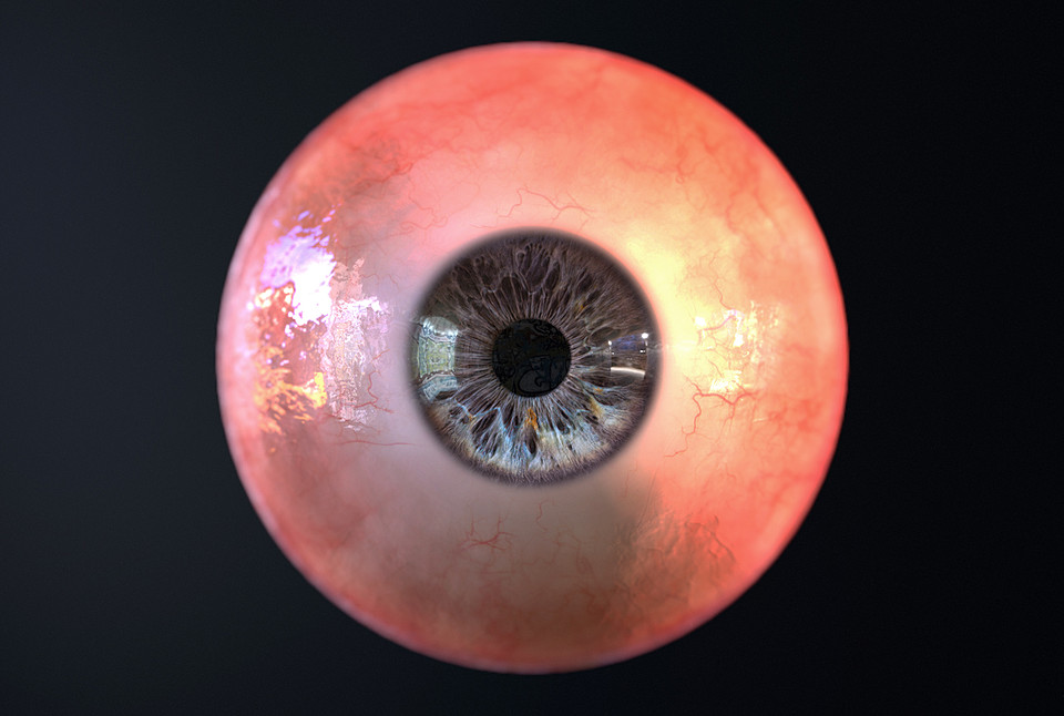 Realistic Eye Pack / PBR