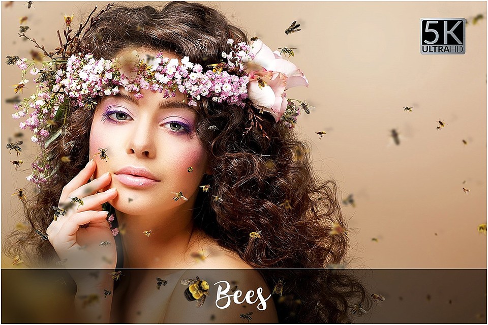 5K Bees Overlays