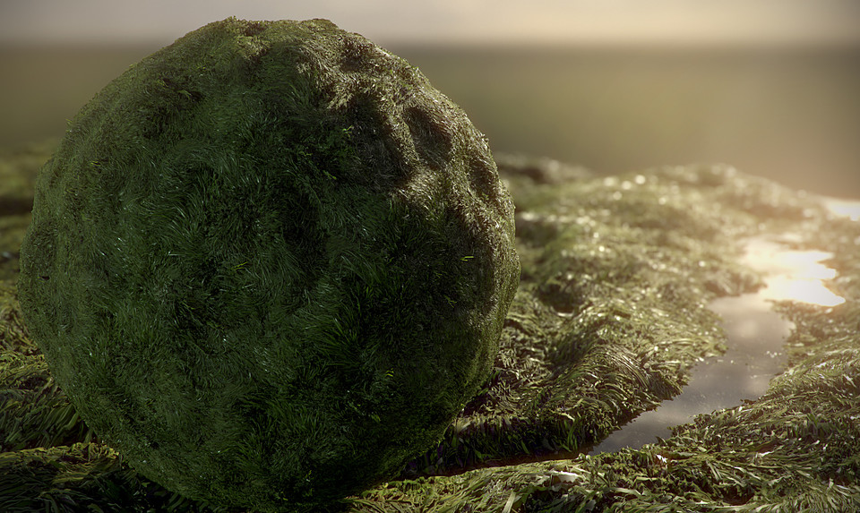 Seamless 4K long marsh grass materials