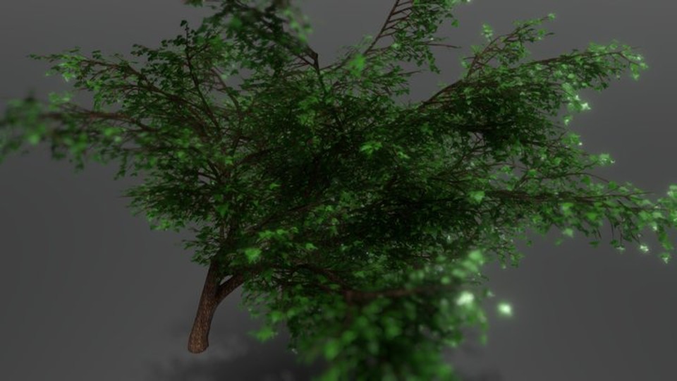 Simple Tree