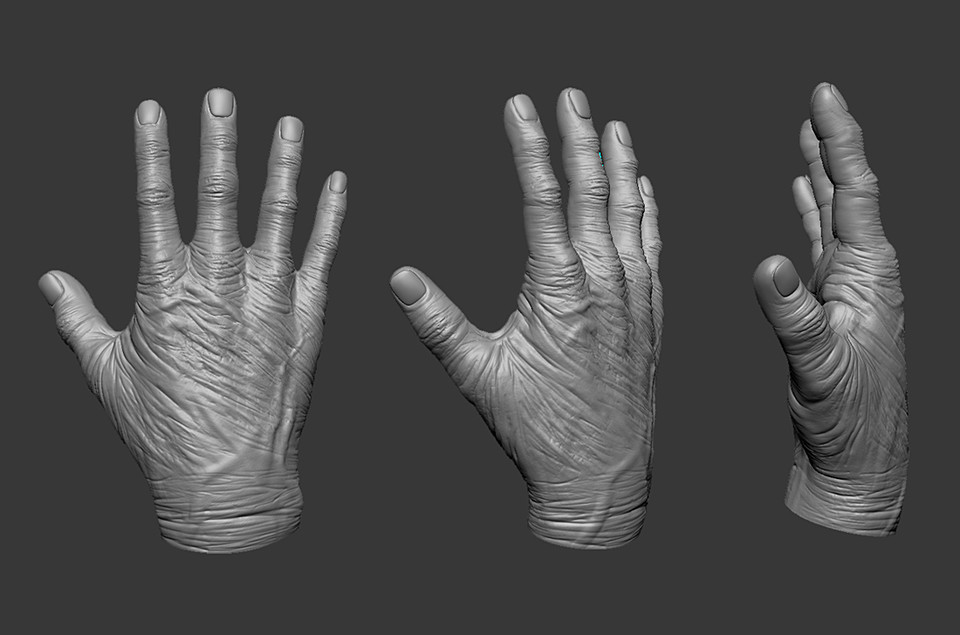Old Human Hand Low & HighPoly 3D model