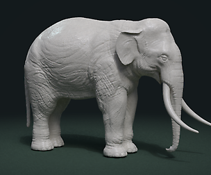 Elephant Base Mesh