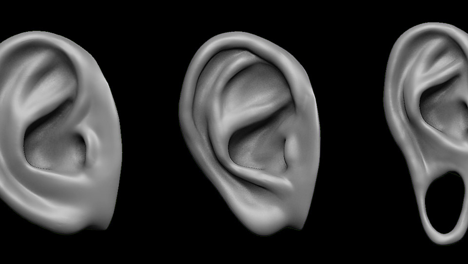 FREE sample of EARS (high and low poly 3D model)