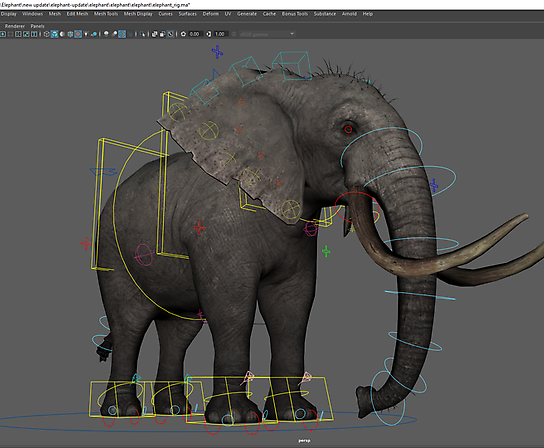 Truong CG Artist - DRAW (truongcgartist)'s Collections
